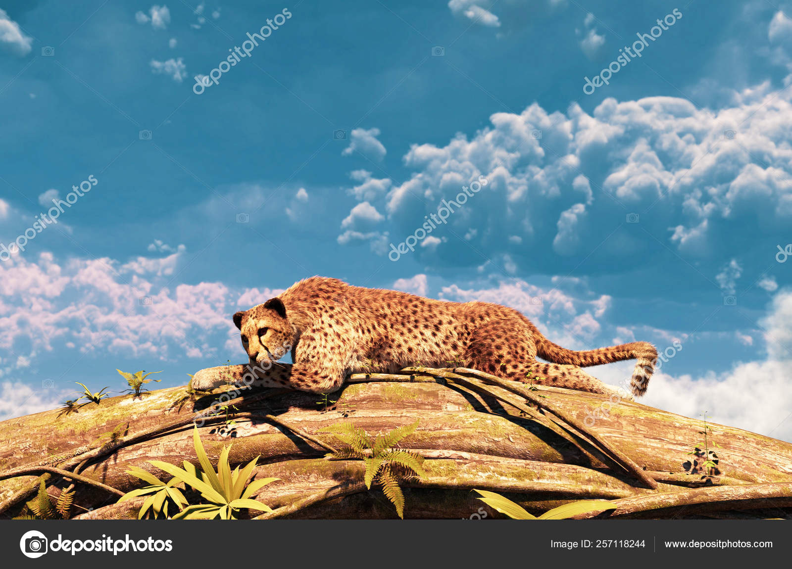 Cheetah resting on a tree trunk — Free Stock Photo © lighthouse #257118244