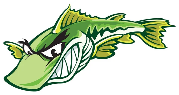 Largemouth Bass ⬇ Vector Image By © Slipfloat Vector Stock 21476249
