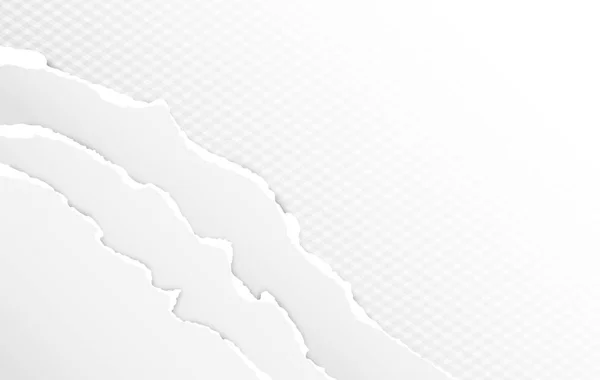 Gray Ripped Open Paper Transparent Background Torn Paper Sheet Paper ...