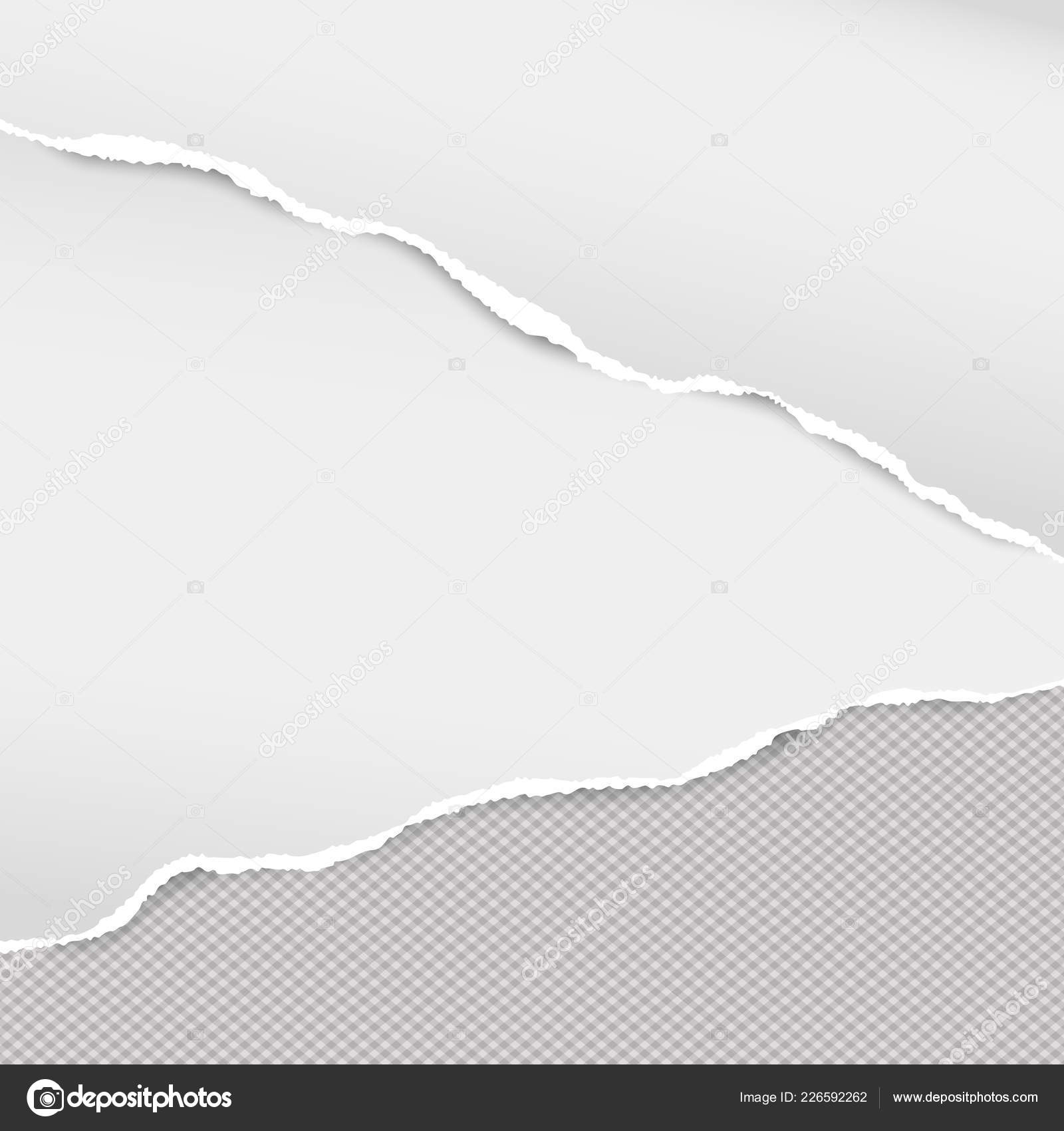 White ripped note paper strips for text or message on squared gray ...