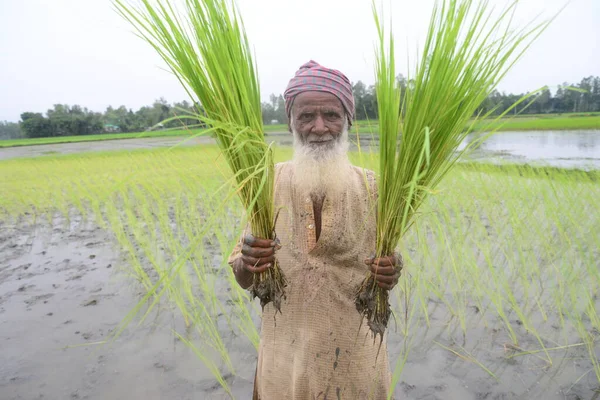 L indian farmer Stock Photos, Royalty Free L indian farmer Images ...