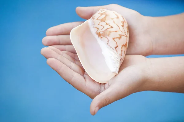 Imágenes de Mujeres con conchas hermosas libres de derechos | Depositphotos