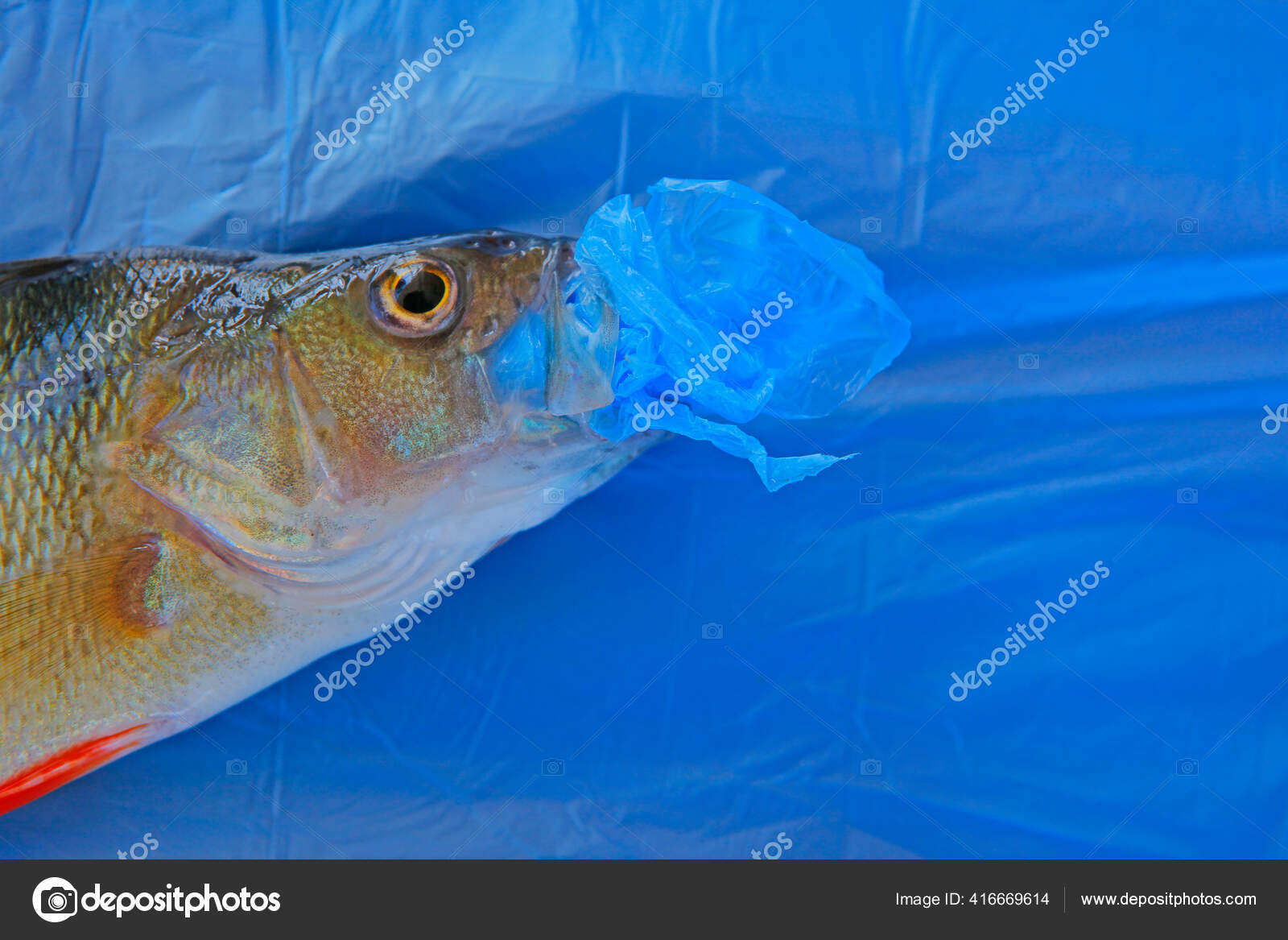 Image Fish Package Background Stock Photo by ©GORLOV 416669614