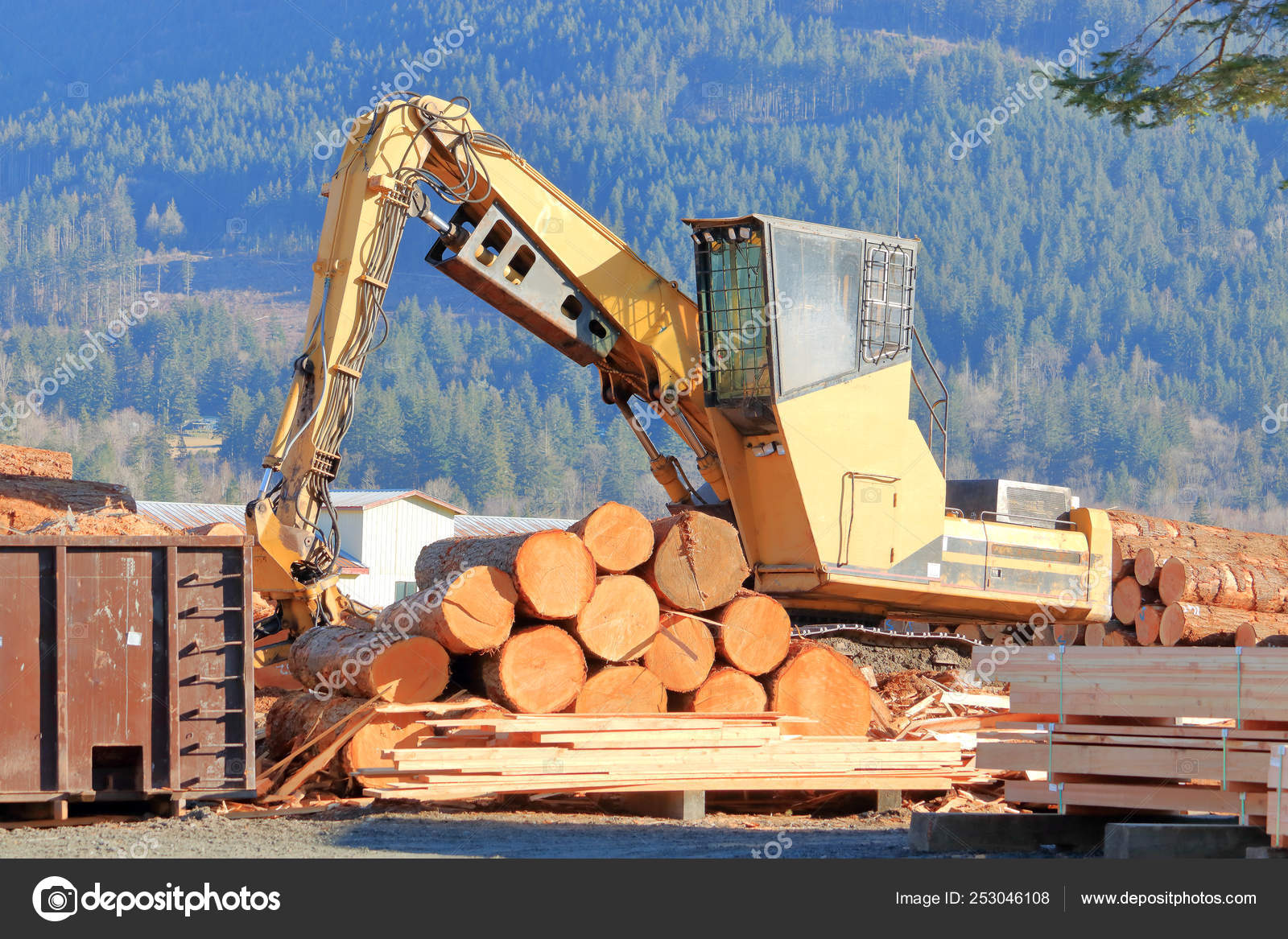 Small Industrial Log Loader Used Sorting Stacking Raw Cedar Logs ...