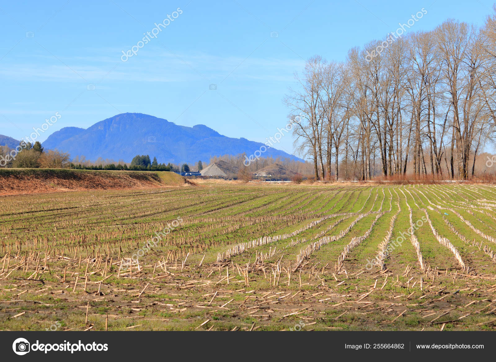 Man Made Dike Raised Levy Used Protect Agriculture Land Flooding ⬇ ...