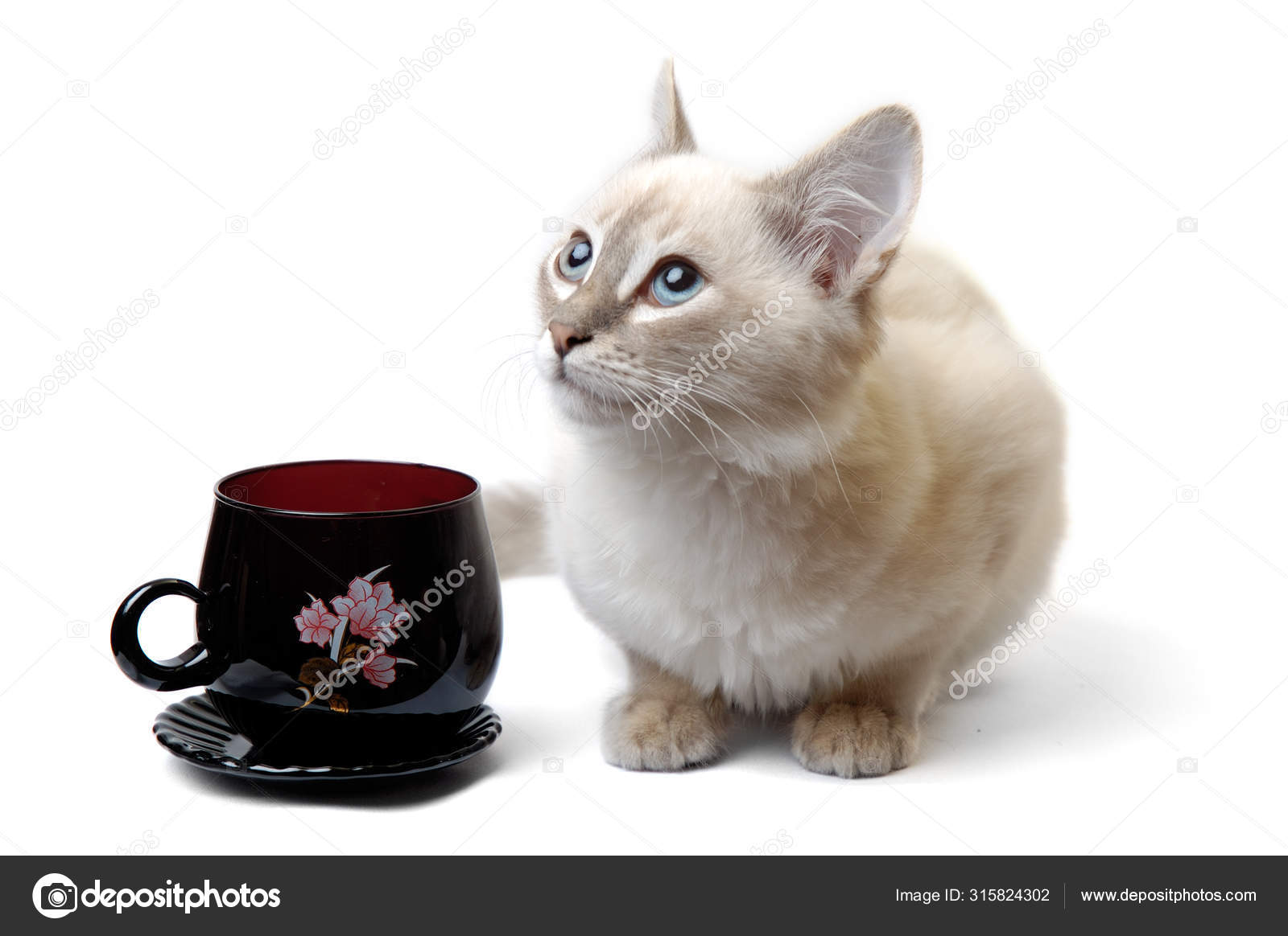White cat with cup of tea — Stock Photo © YouraPechkin@gmail.com #315824302