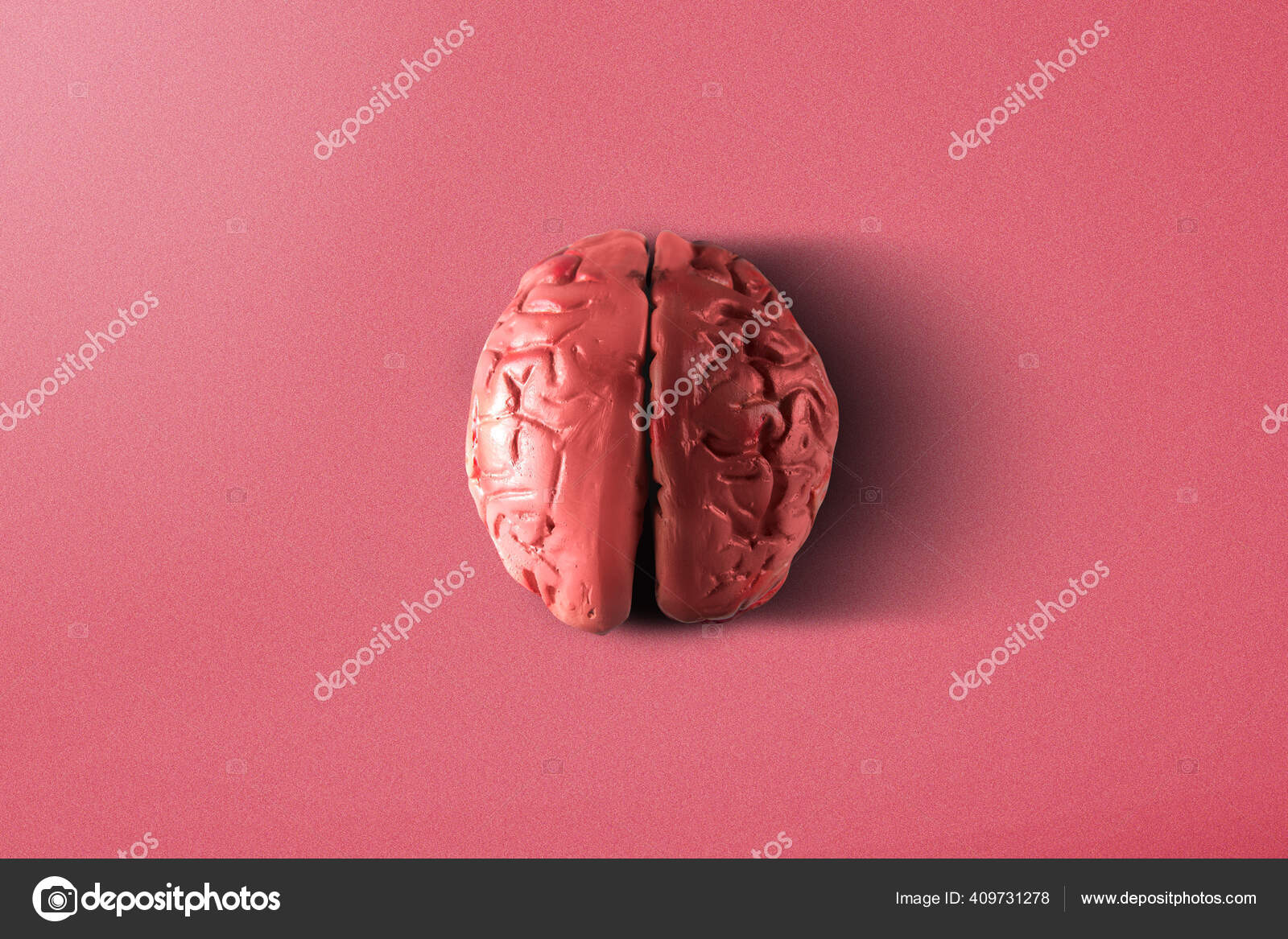 Human Brain Pink Background Stock Photo by ©leolintang 409731278