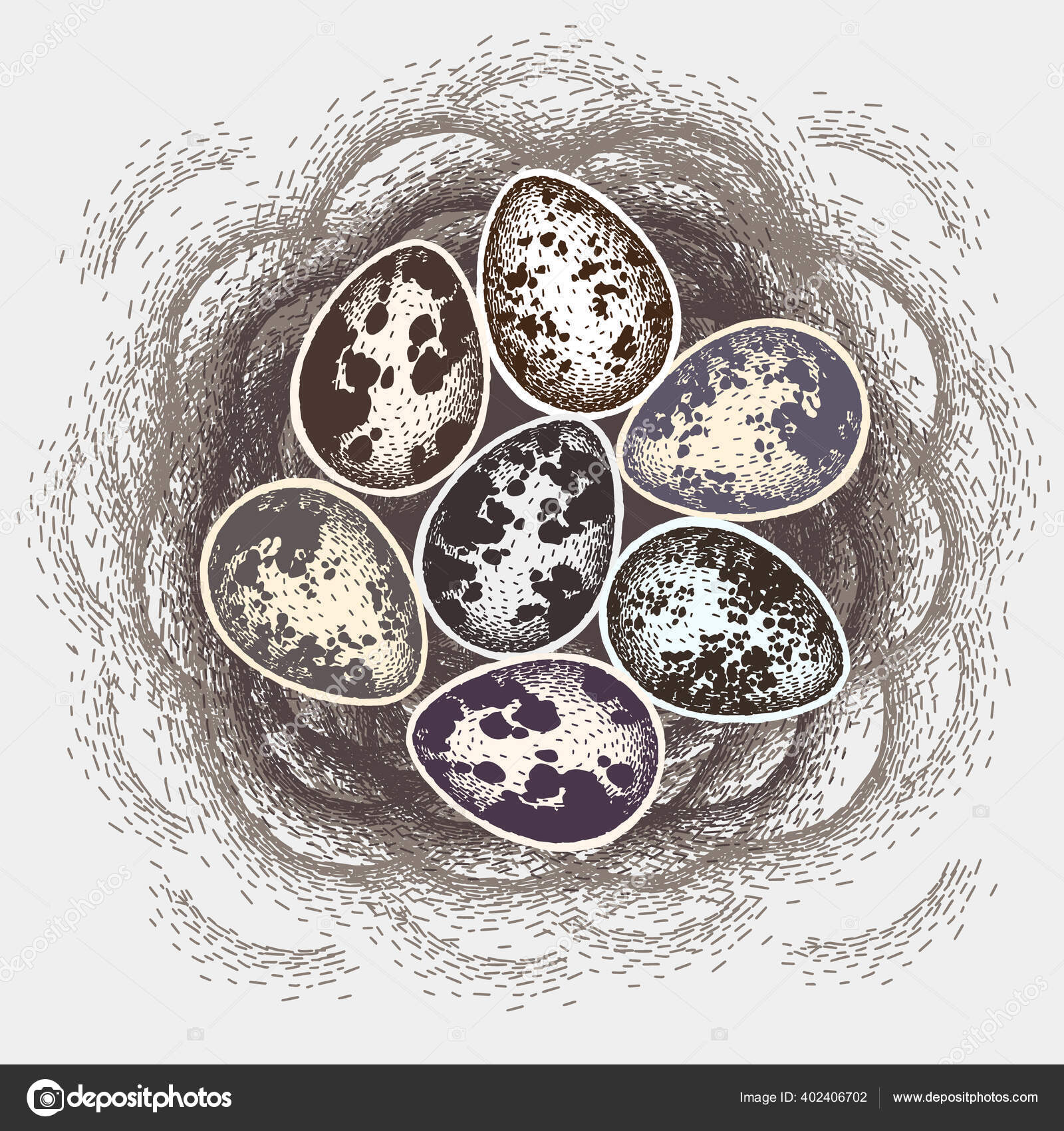 Bird Stick Nest Greeting Card Invitation Banner Design Vector ...