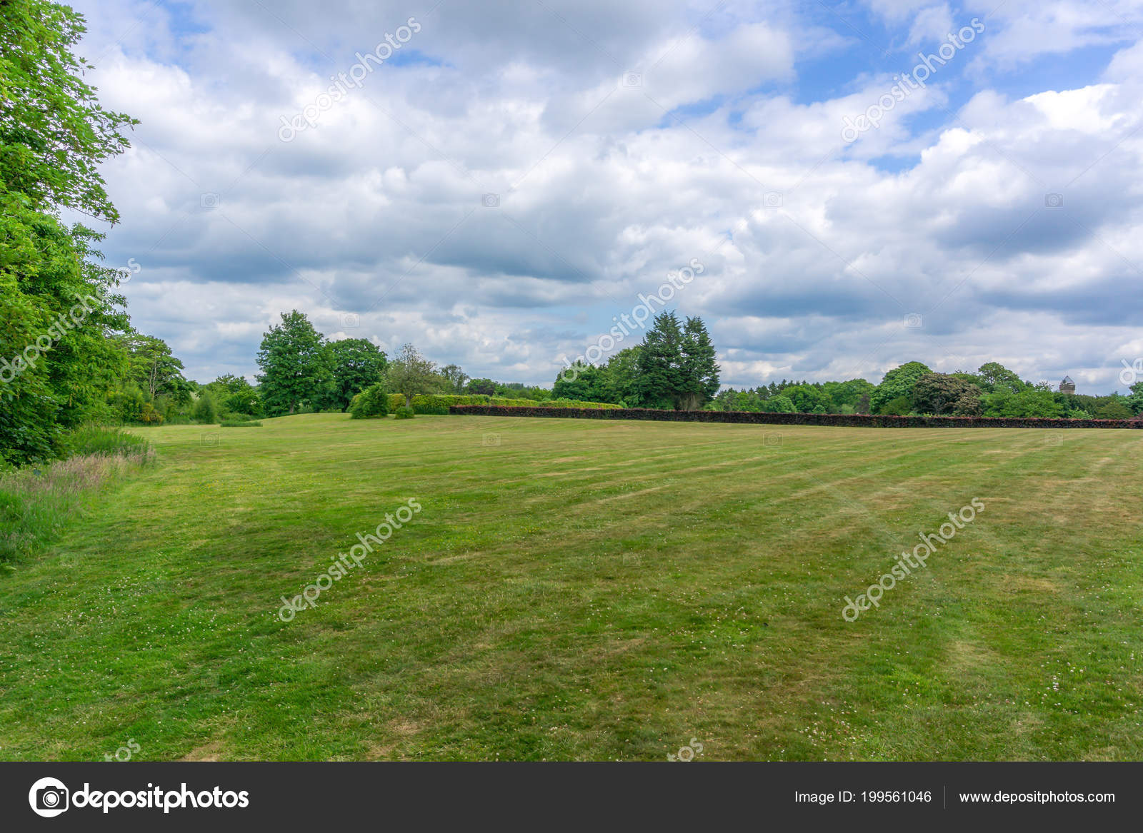 Beautiful Grassy Fields Trees Distance Hedging Separates Wild Grass ...