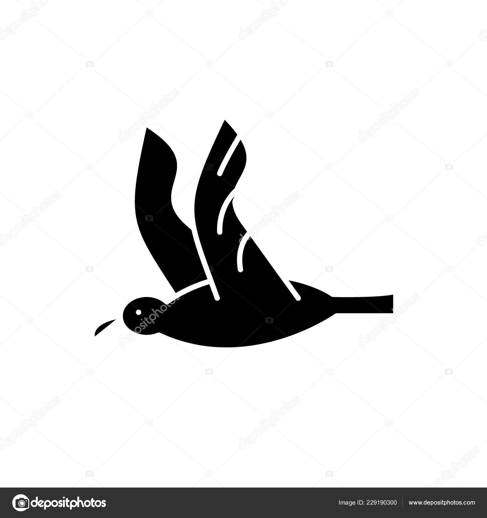 Gull black icon, vector sign on isolated background. Gull concept ...