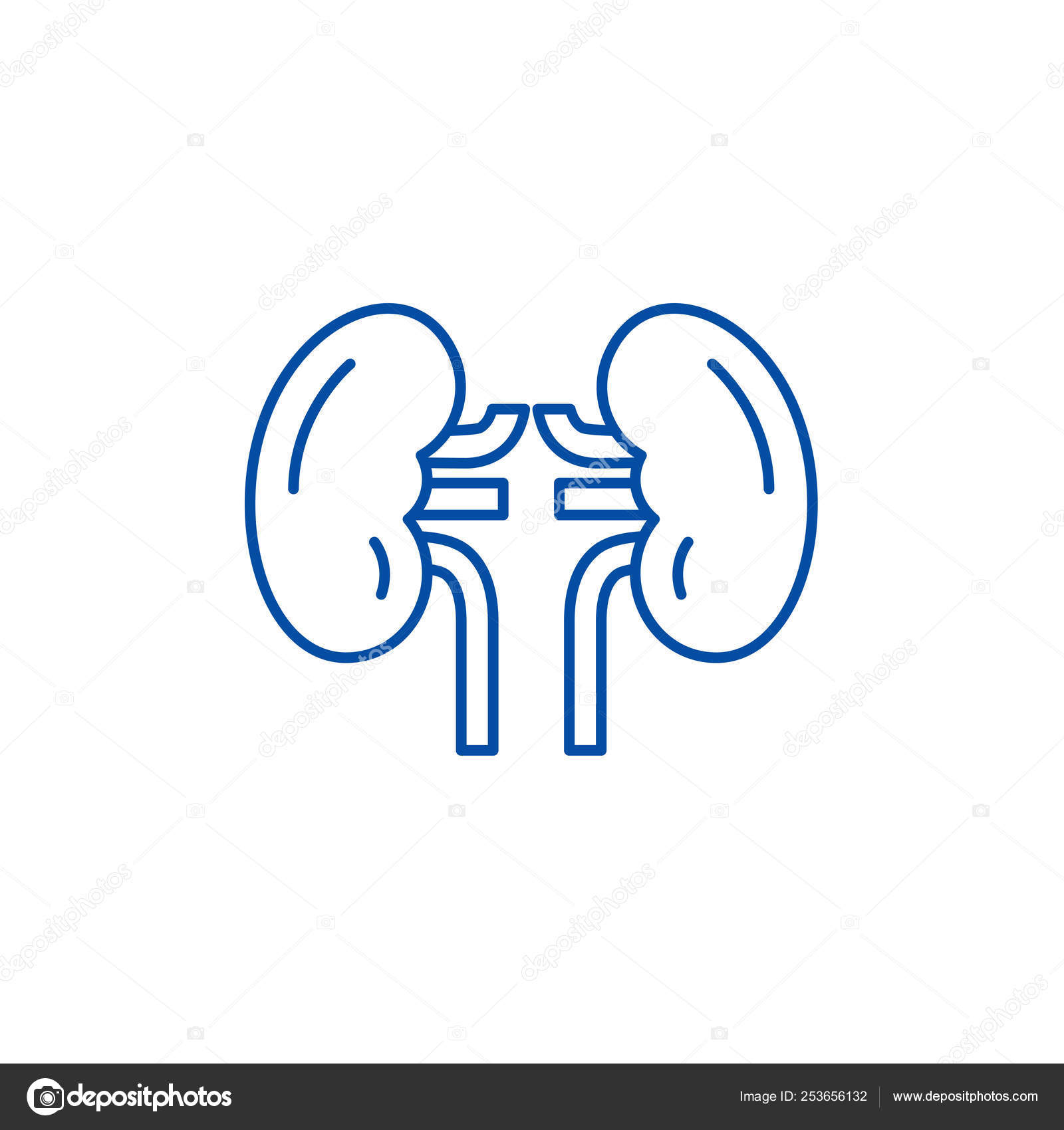 Kidney line icon concept. Kidney flat vector symbol, sign, outline ...