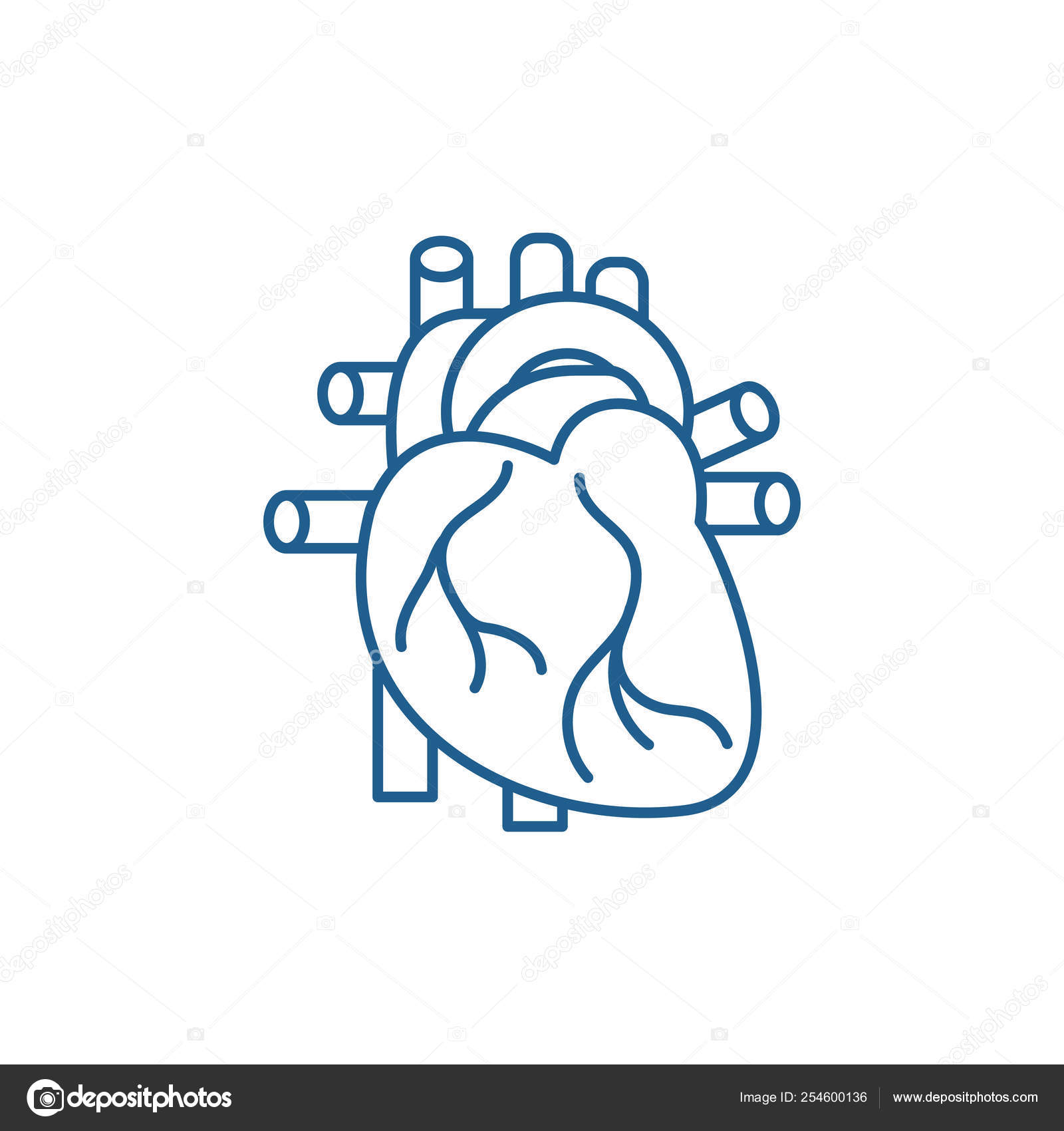 Human heart line icon concept. Human heart flat vector symbol, sign ...
