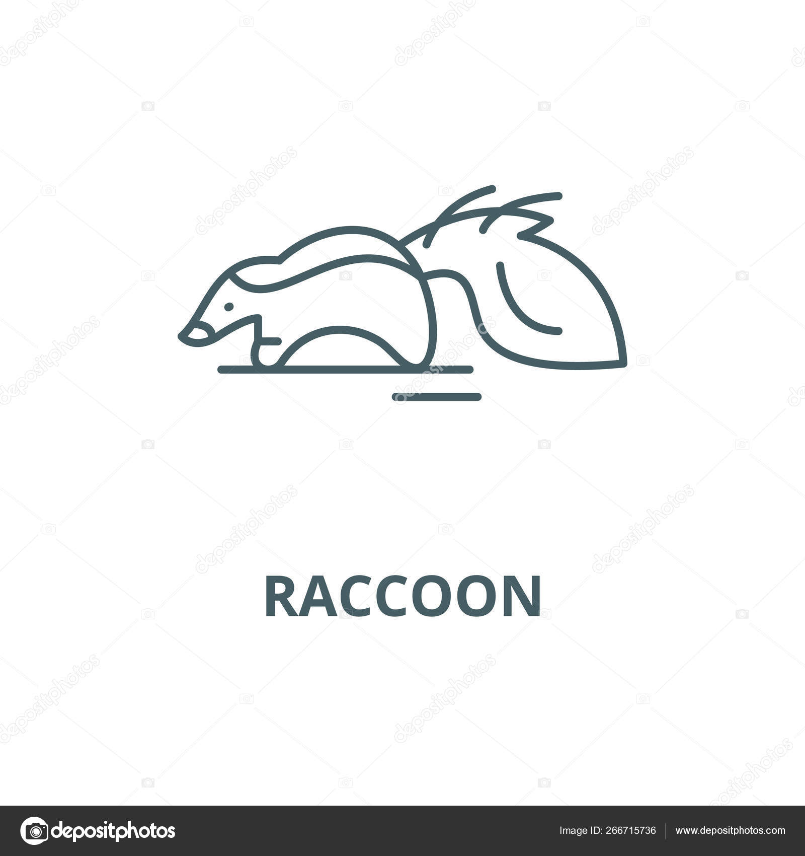 Raccoon vector line icon, linear concept, outline sign, symbol Stock ...