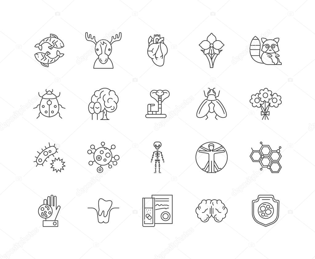 Iconos de l nea de biolog a, signos, conjunto de vectores, esquema concepto de ilustraci n 2024