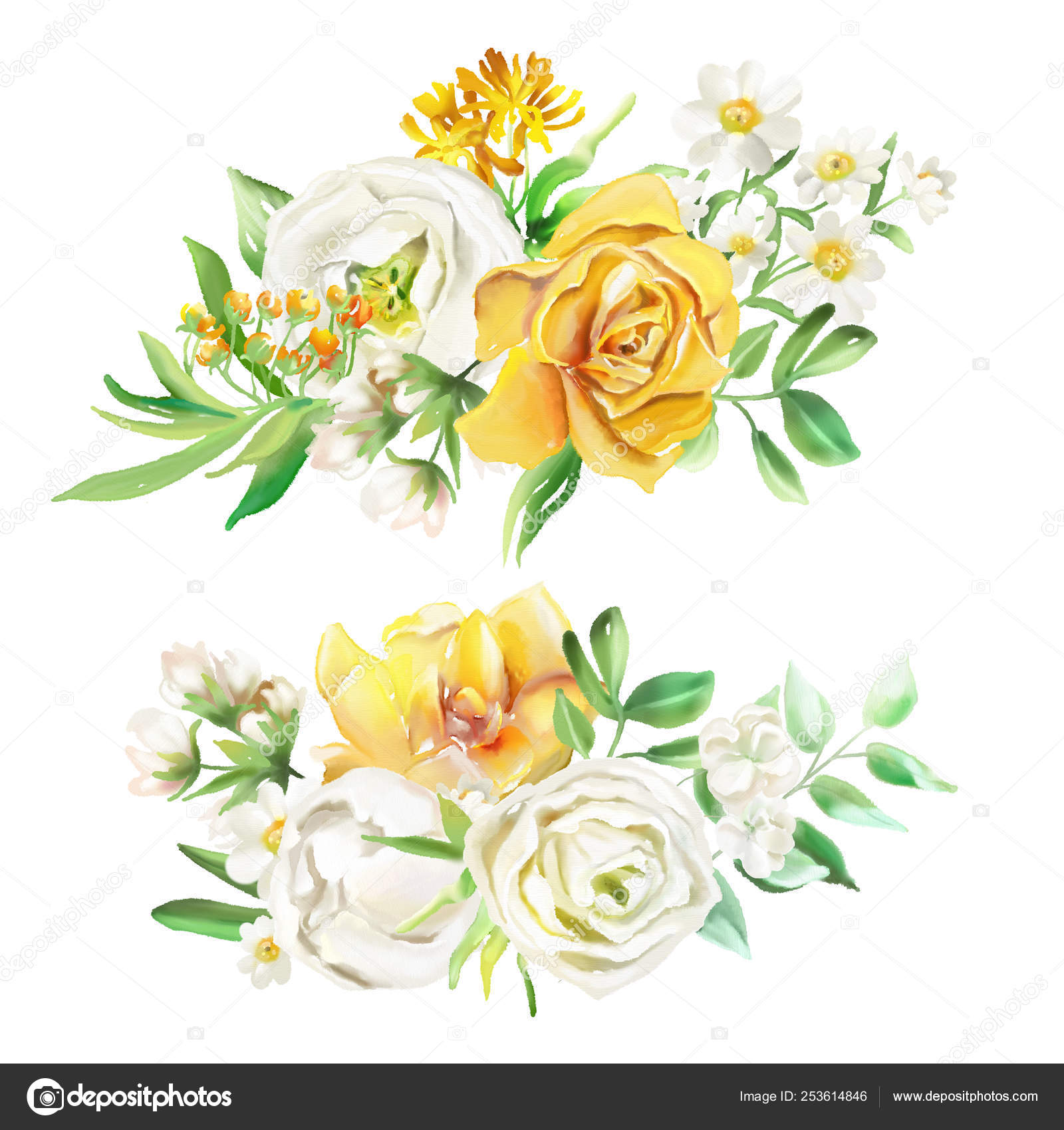 Beautiful Watercolor Flowers Isolated White Background Stock ...