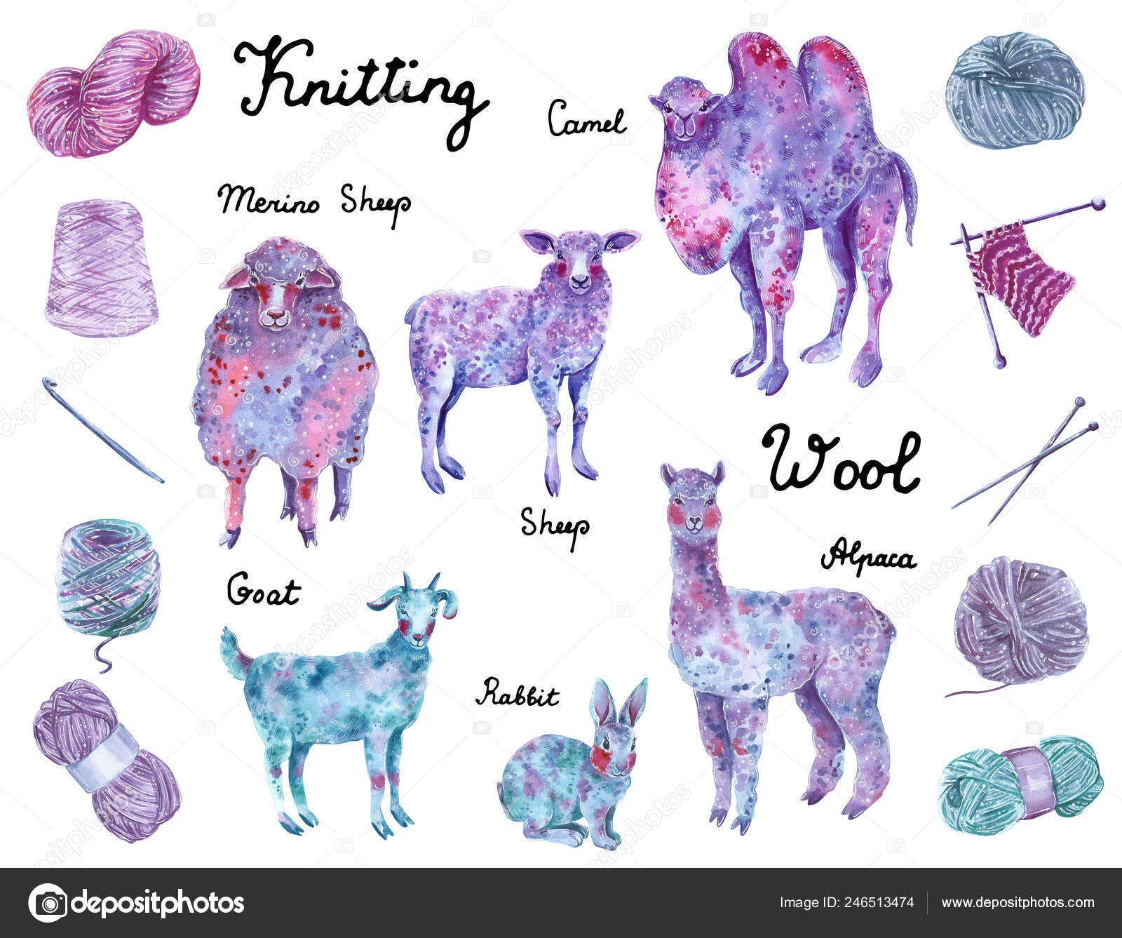 Set Wool Animals Alpaca Merino Sheep Rabbit Camel Goat Set Stock ...