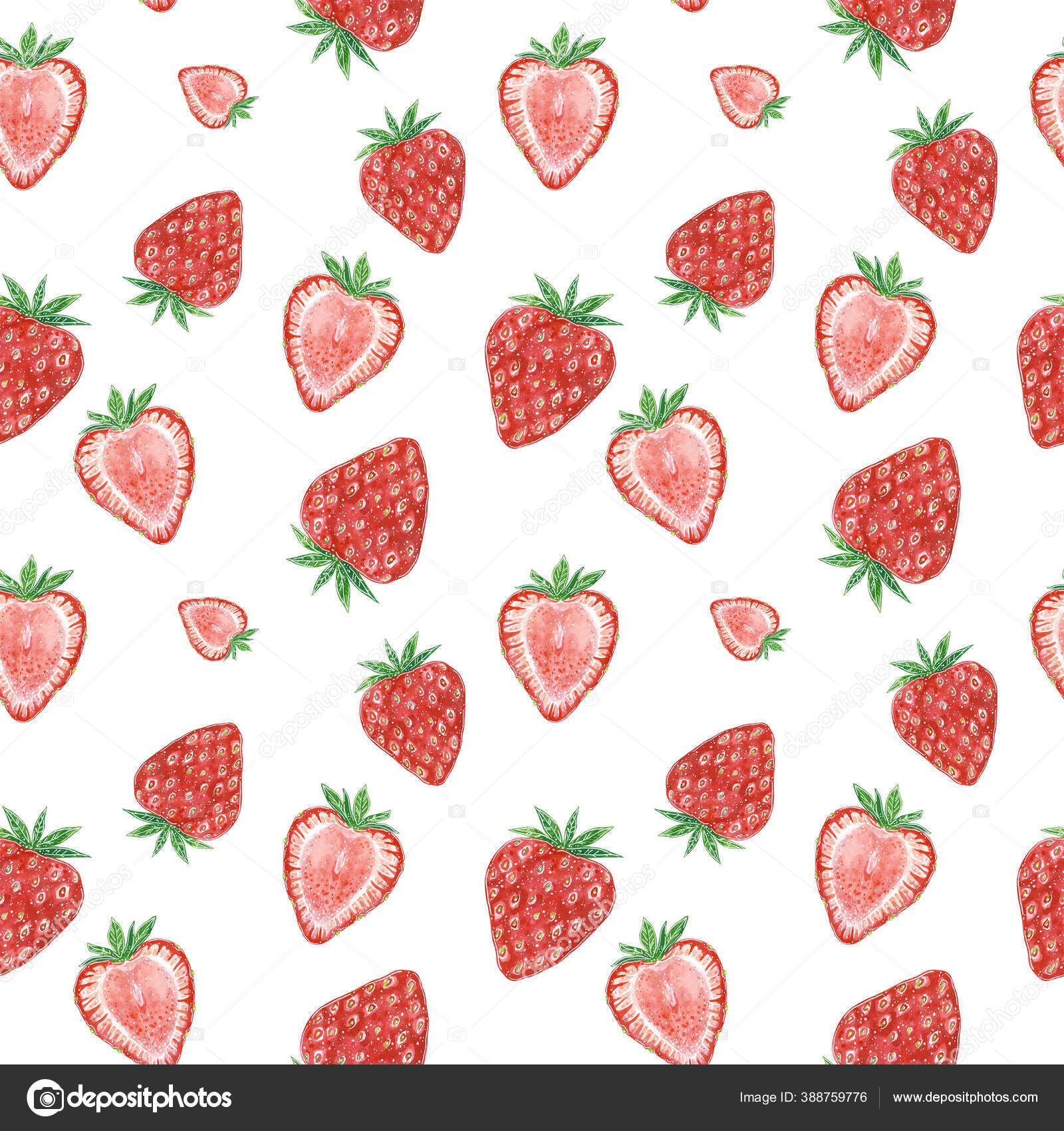 Strawberry Seamless Pattern Hand Drawn Botanical Illustration Isolated ...