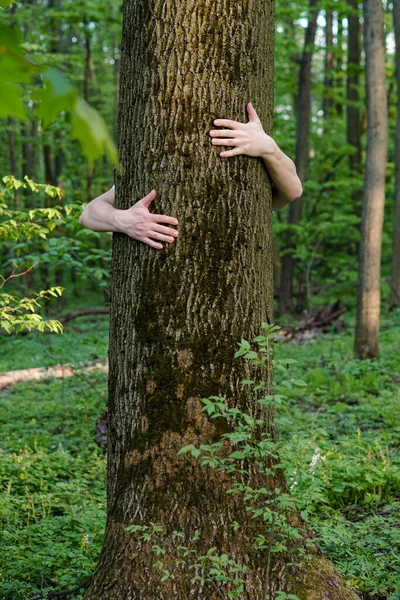 Tree hugging woman Stock Photos, Royalty Free Tree hugging woman Images ...
