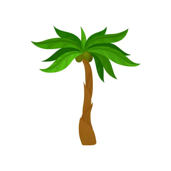 Sabal Palm Tree painted sketch — Stock Vector © Aen_Seidhe #112419116 Sabal Palm Tree painted sketch — Stock Vector © Aen_Seidhe #112419116