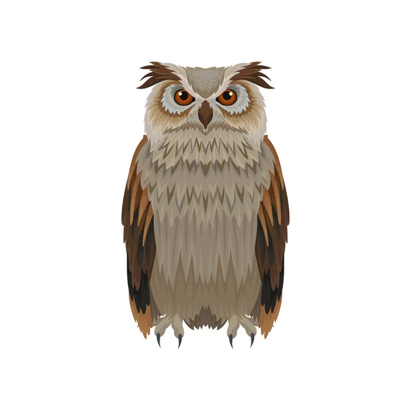 Horned owl Vector Art Stock Images | Depositphotos