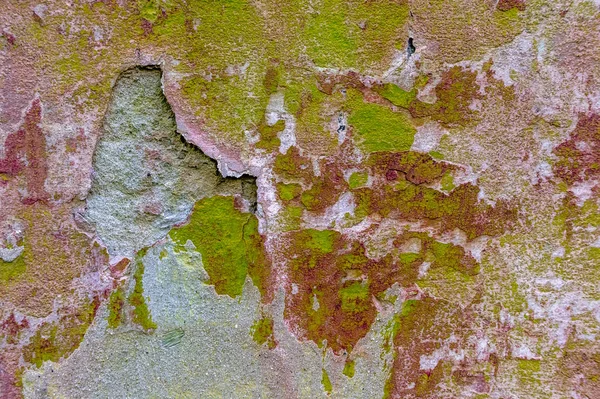 Mottled texture Stock Photos, Royalty Free Mottled texture Images ...