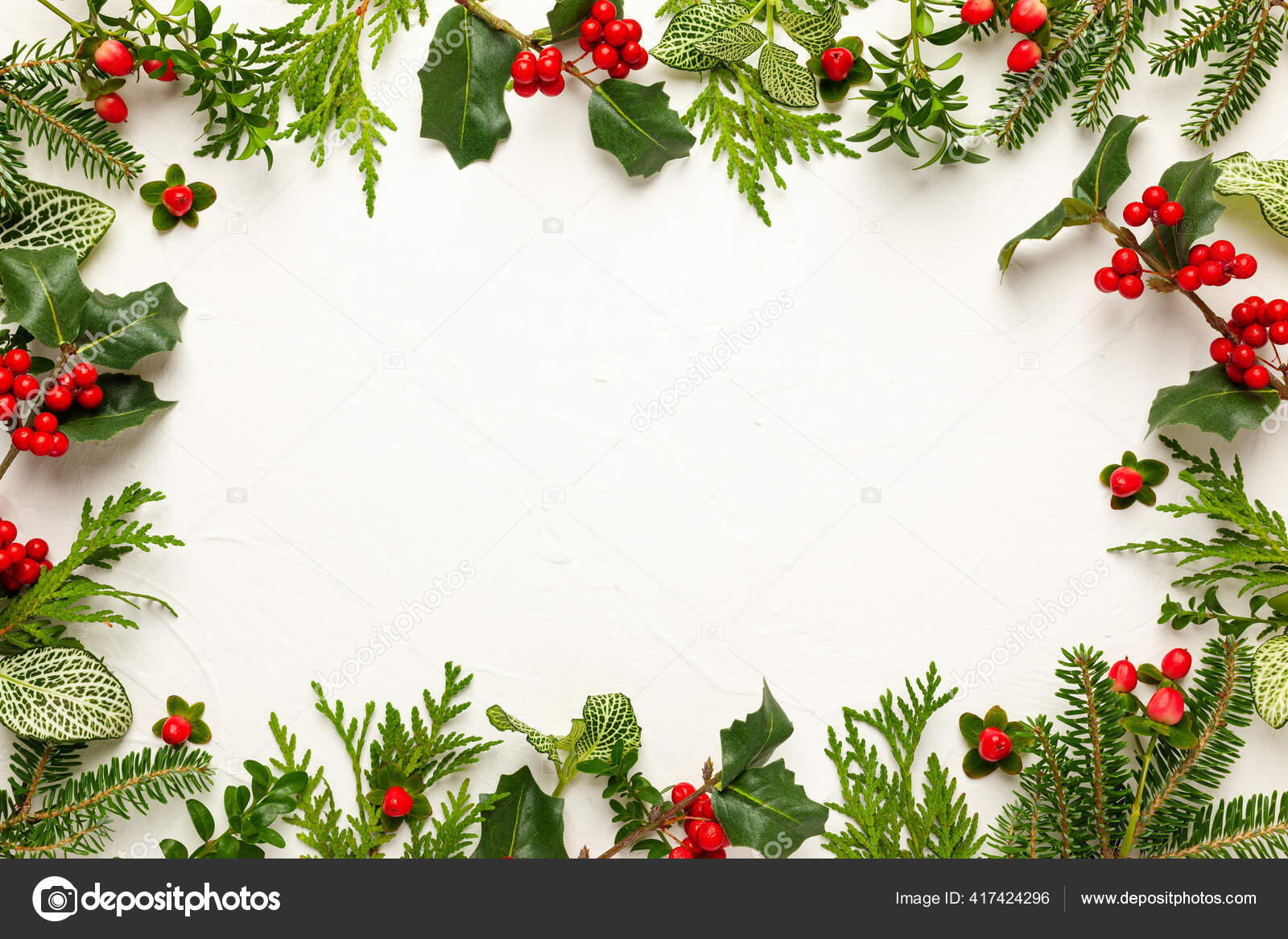 Christmas Background Branches Fir Tree Evergreens Holly Red Berries ...