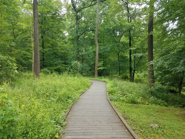 Visiting a nature trail Stock Photos, Royalty Free Visiting a nature ...