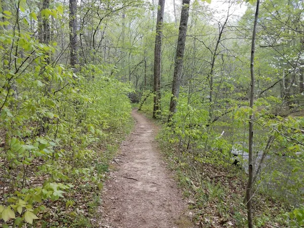 Fern lake trail Stock Photos, Royalty Free Fern lake trail Images ...