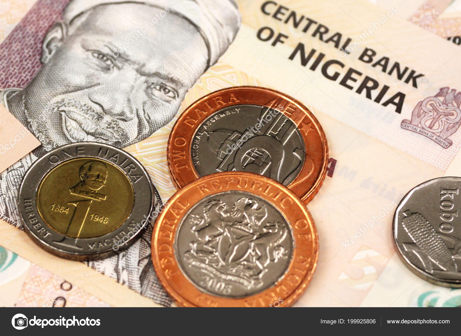 Nigerian Currency Notes
