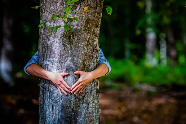 woman hand embracing a tree in the forest - nature loving, fight global ...