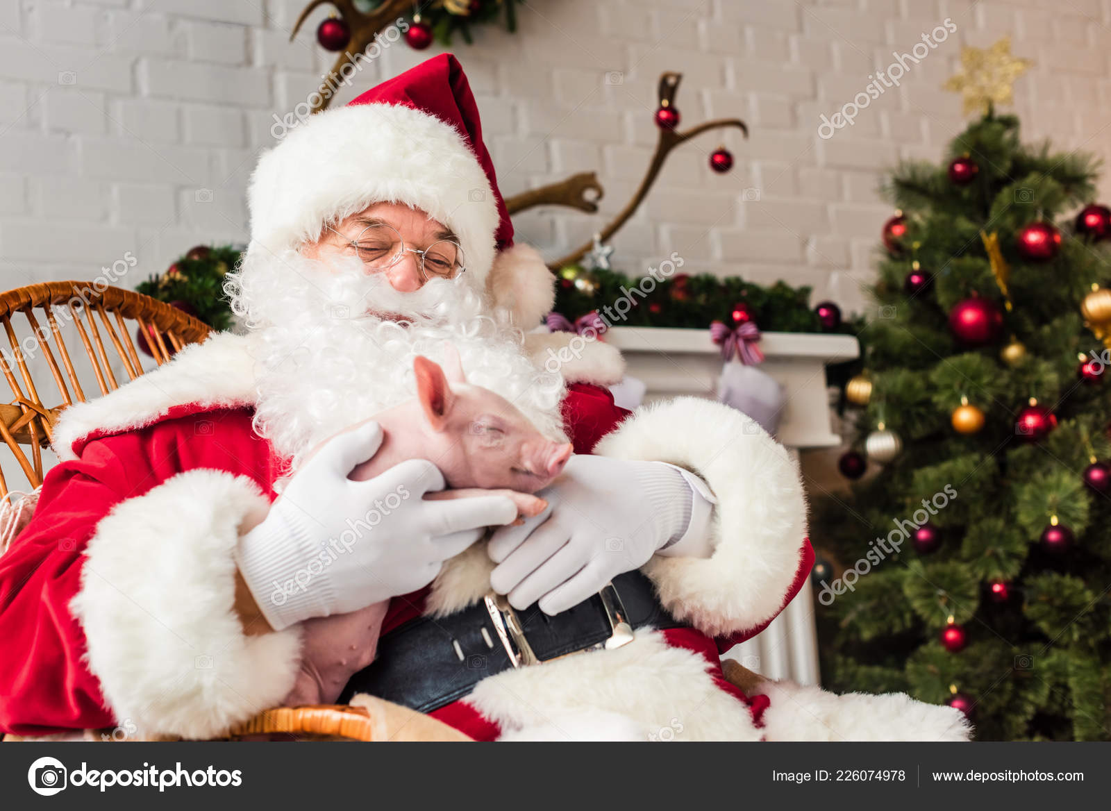 Happy Santa Holding Pig Sitting Rocking Chair Stock Photo by ...