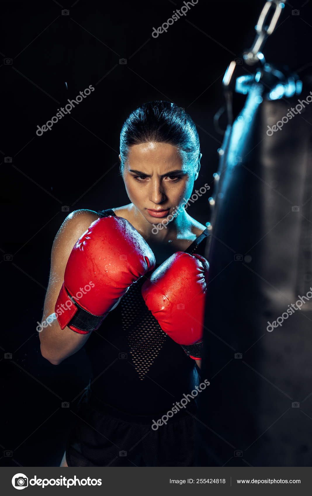 Concentrated Boxer Red Boxing Gloves Looking Punching Bag Black — Stock ...