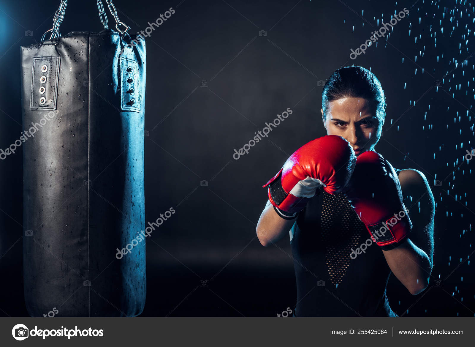 Concentrated Boxer Red Boxing Gloves Standing Water Drops Black — Stock ...