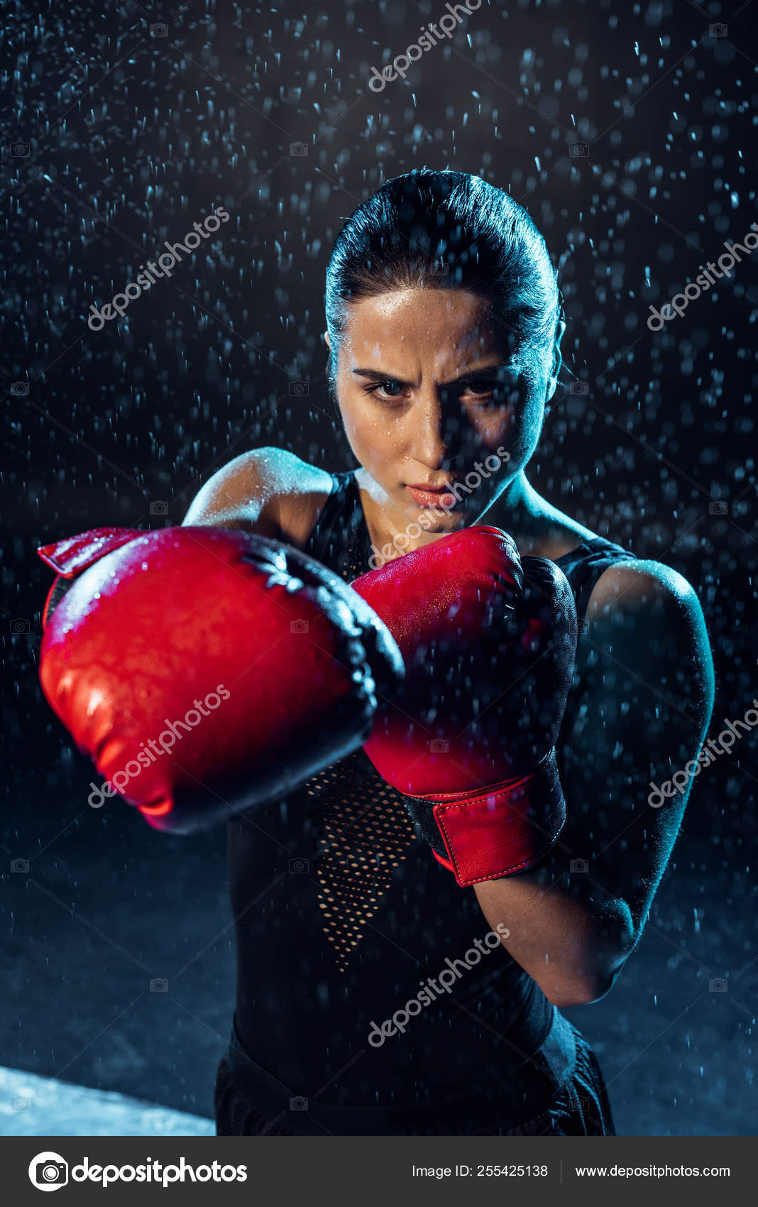 Concentrated Boxer Red Boxing Gloves Standing Water Drops Black — Stock ...