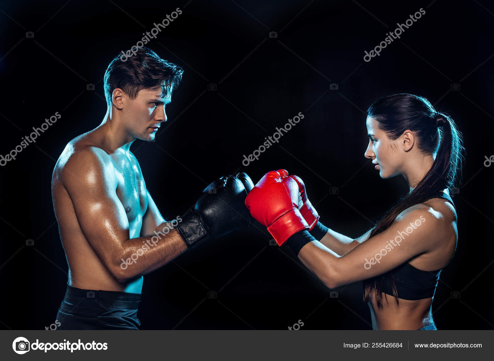 Side View Two Boxers Boxing Gloves Training Together Isolated Black ...