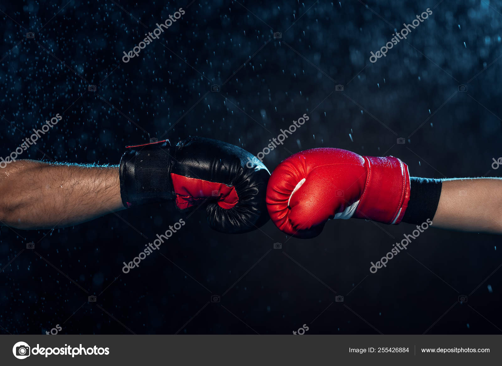 Partial View Two Boxers Boxing Gloves Touching Hands Black — Stock ...