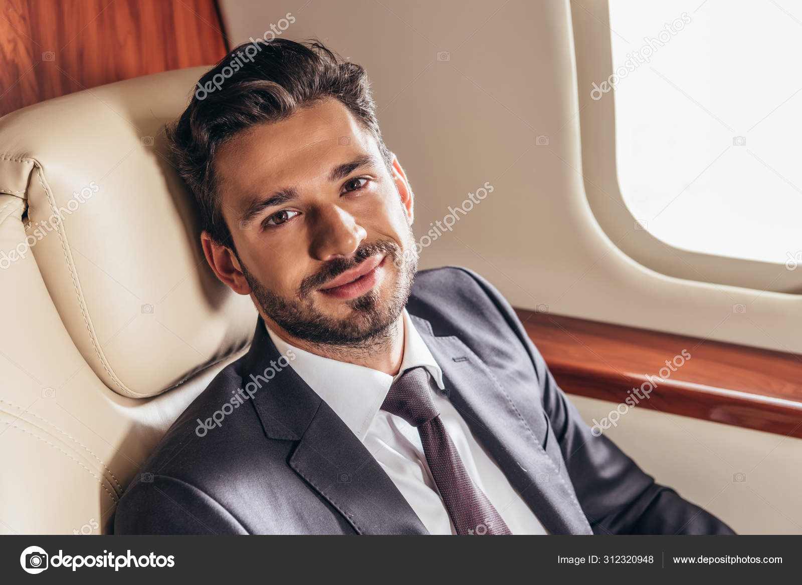 Handsome Businessman Suit Smiling Looking Camera Private Plane Stock ...
