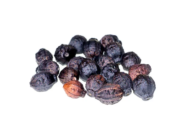 Mirabilis jalapa seed Stock Photos, Royalty Free Mirabilis jalapa seed ...