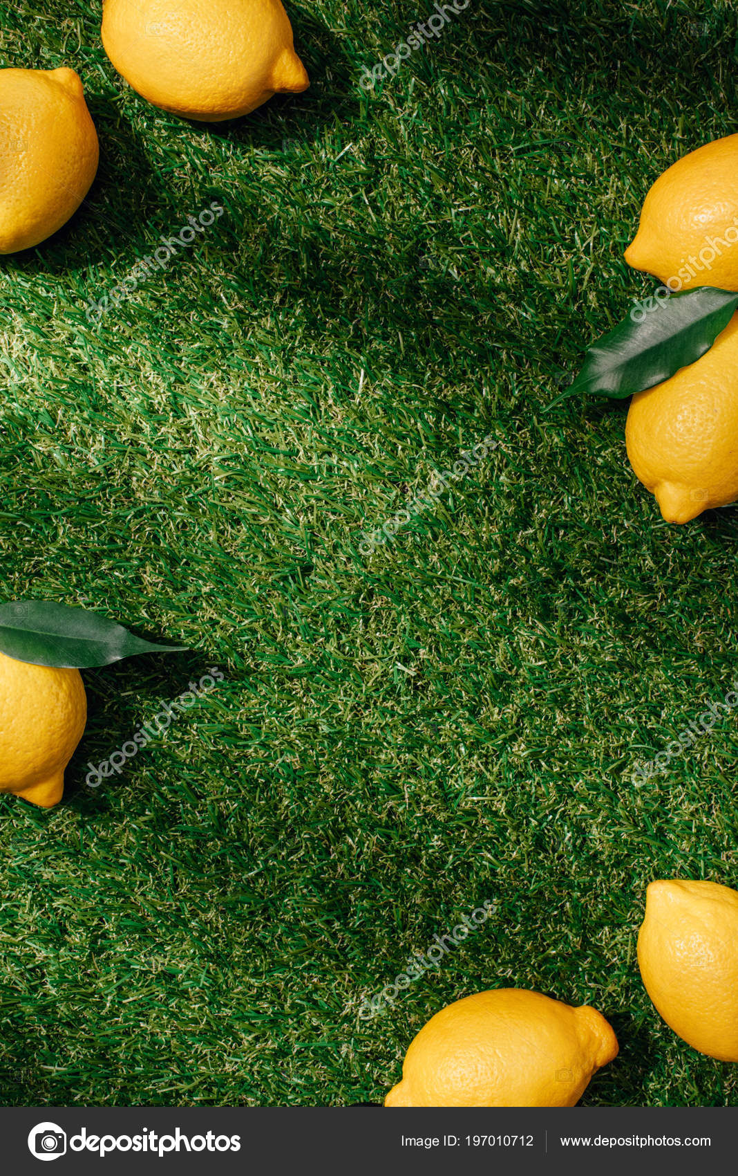 Top View Lemons Leaves Green Lawn — Stock Photo © KostyaKlimenko #197010712