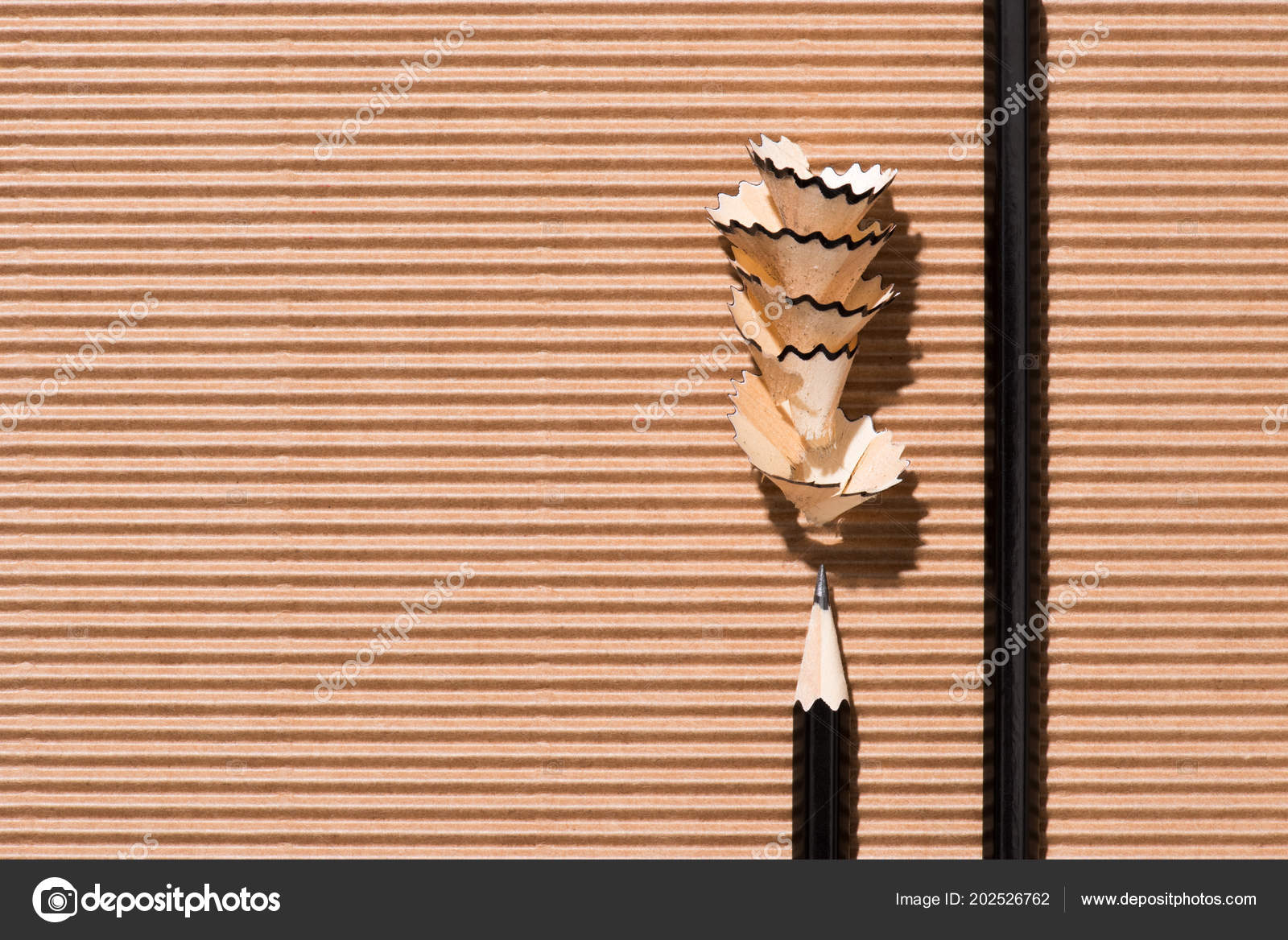 Top View Pencil Shavings Black Graphite Pencils Cardboard — Stock Photo ...