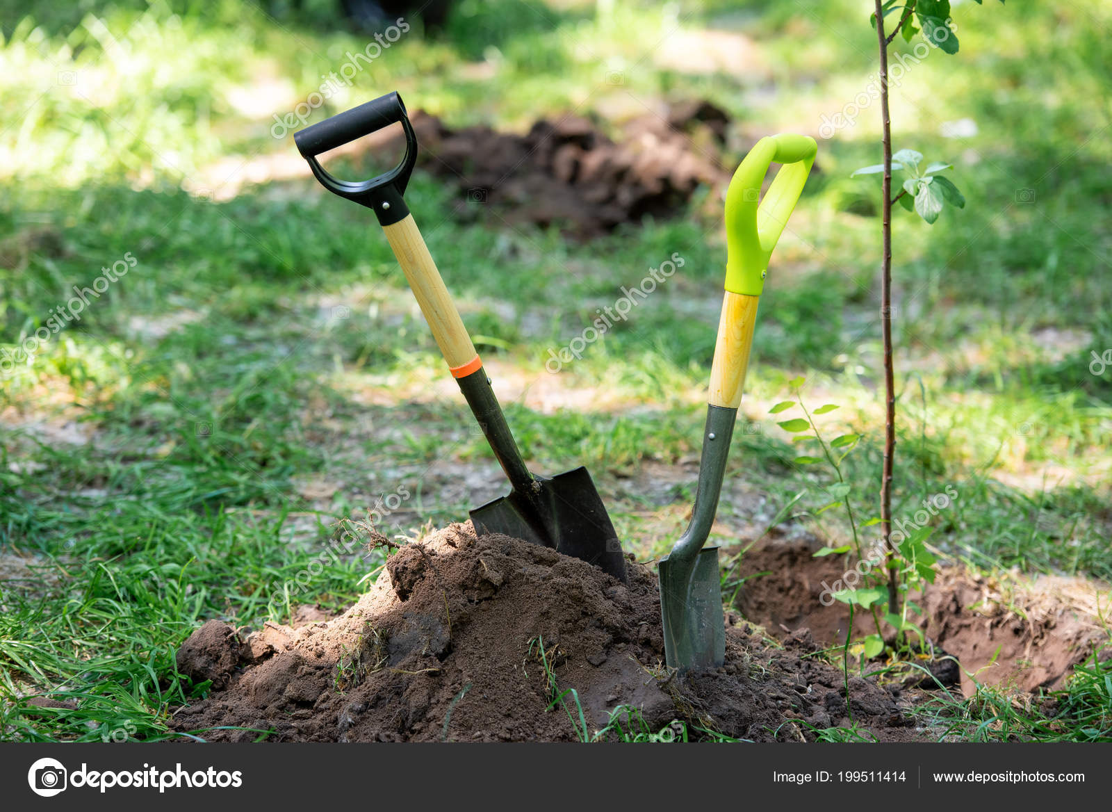 Shovel In Ground