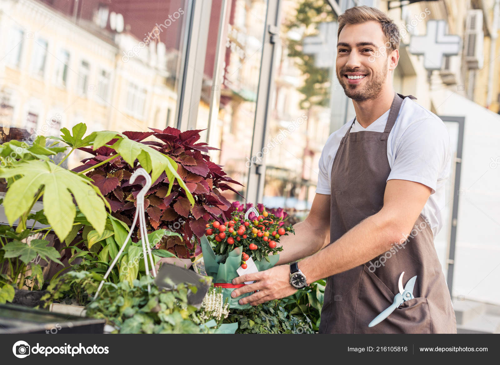 Handsome Smiling Florist Taking Potted Plant Red Berries Flower Shop ...