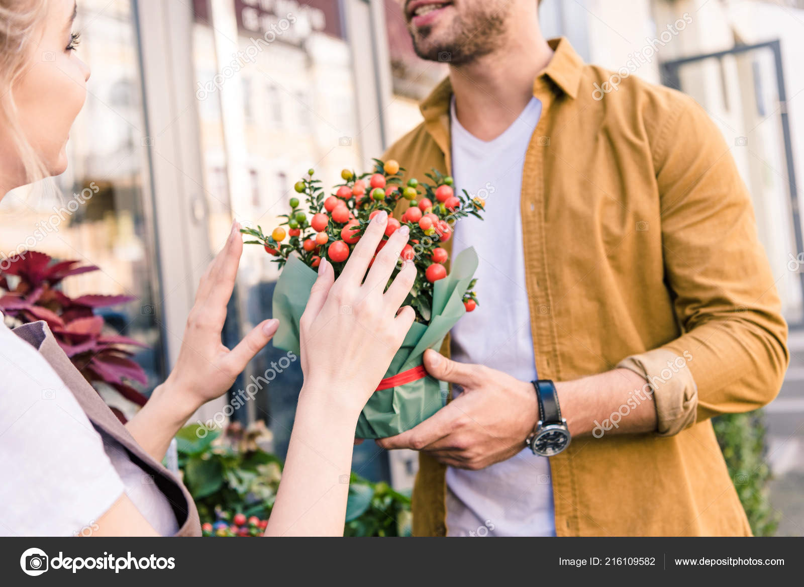Cropped Image Florist Describing Potted Plant Red Berries Customer ...