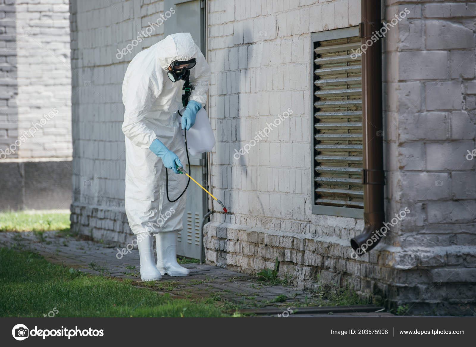 Pest Control Worker Spraying Pesticides Sprayer Building Wall Stock ...