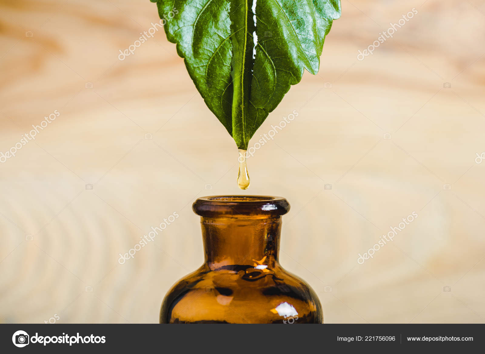 Close Essential Oil Dripping Leaf Glass Bottle Isolated Beige Stock ...