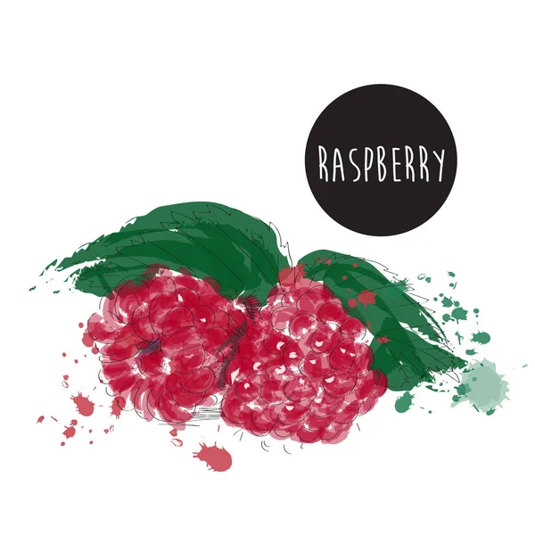Raspberry pi logo Stock Photos, Royalty Free Raspberry pi logo Images ...