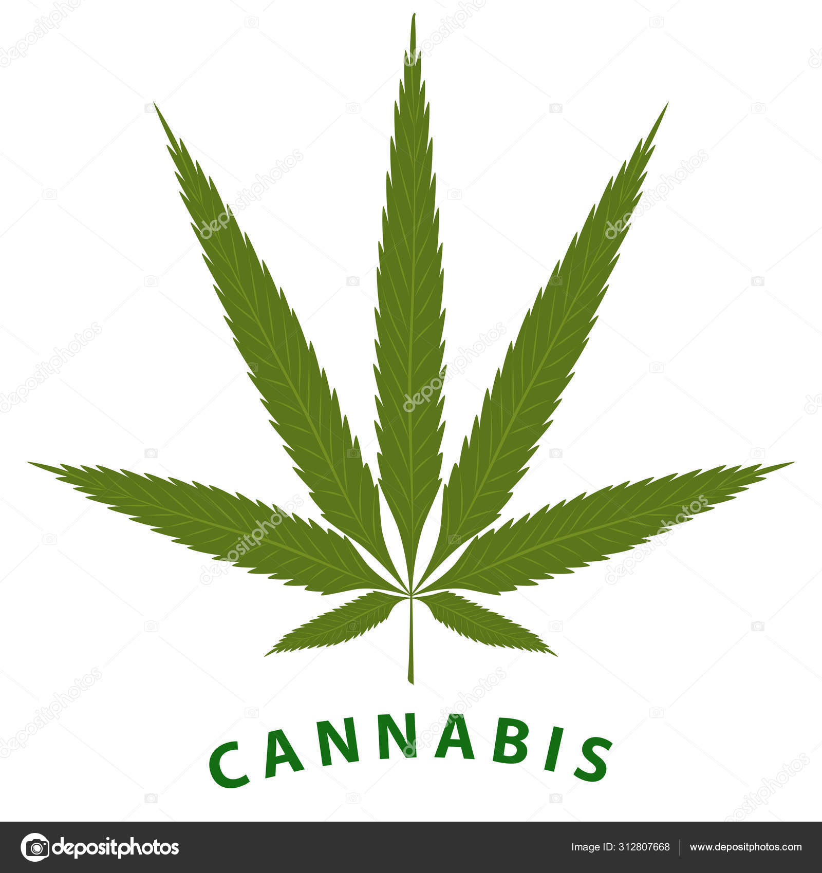 Cannabis leaf - isolated on white background - vector. Health concept. Medical cannabis concept ...