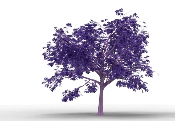 Arvore violeta Stock Photos, Royalty Free Arvore violeta Images ...