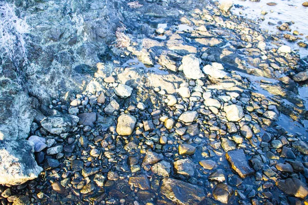 Rockpool Stock Photos, Royalty Free Rockpool Images | Depositphotos