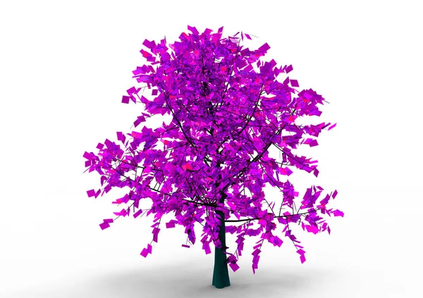 Purple heart tree Stock Photos, Royalty Free Purple heart tree Images ...